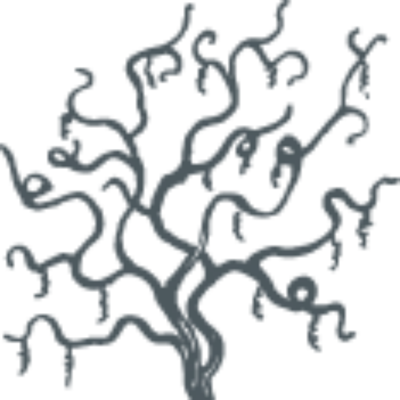 Trees for their Growing Habit | Frank P Matthews | Ornamental Trees