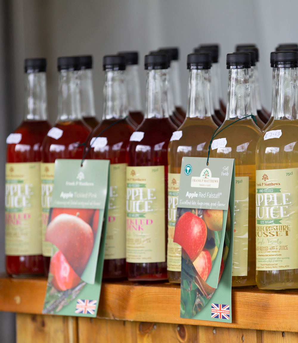 Fruit Trees for Juice | Frank P Matthews | Fruit Juicing