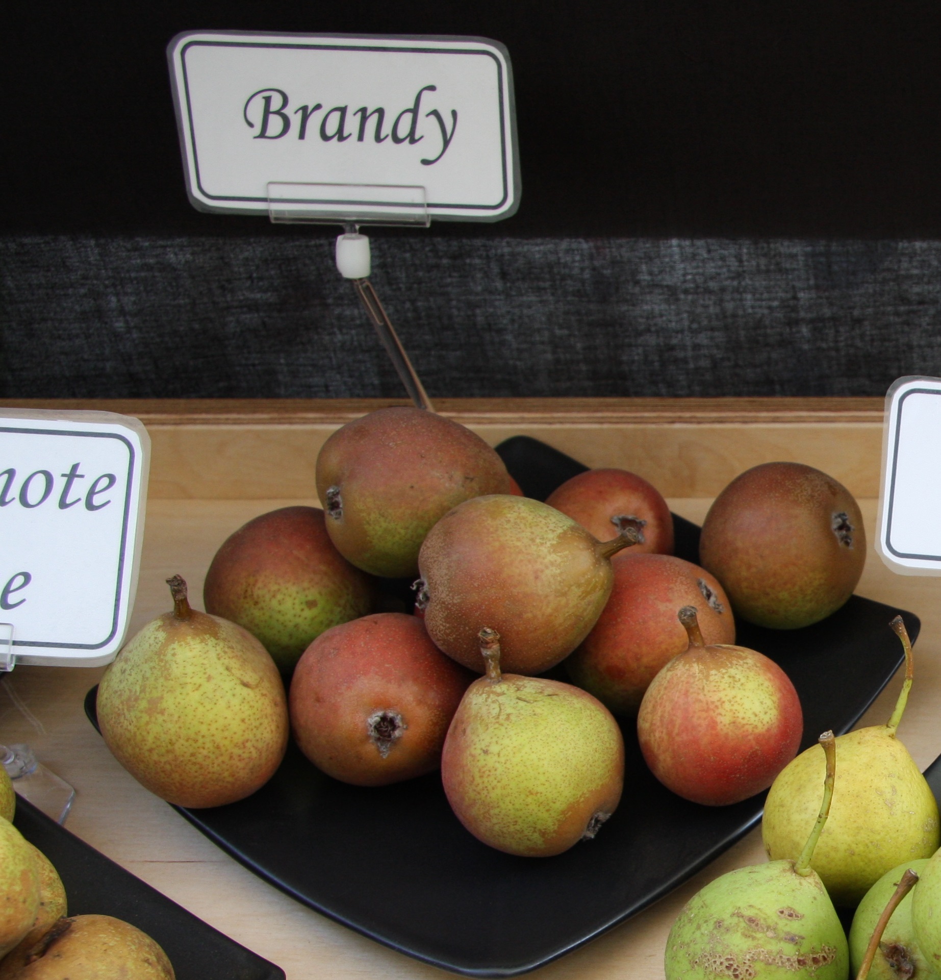 Brandy | Frank P Matthews