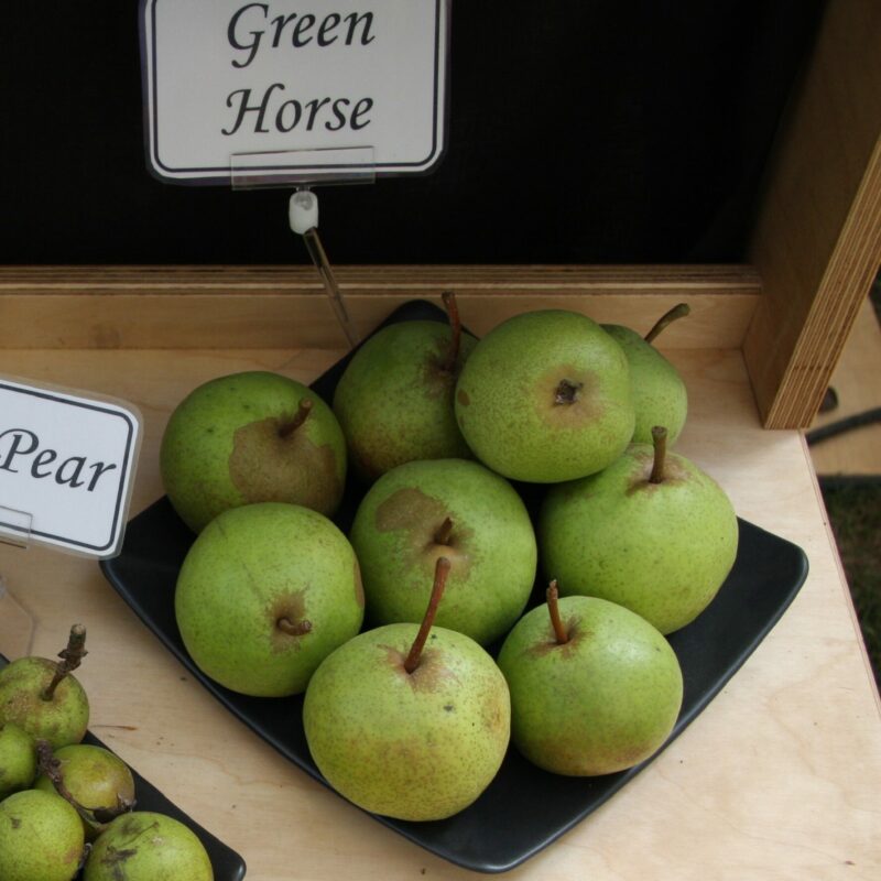 Onward | Frank P Matthews