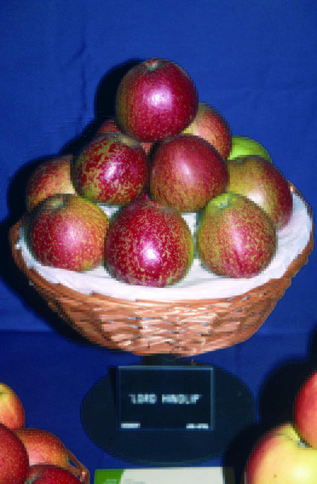 Lord Hindlip | Frank P Matthews