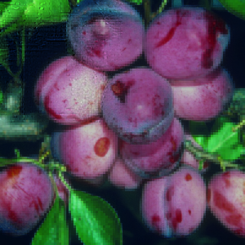 Haganta® | Frank P Matthews