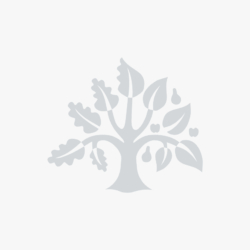 Varieties | Frank P Matthews