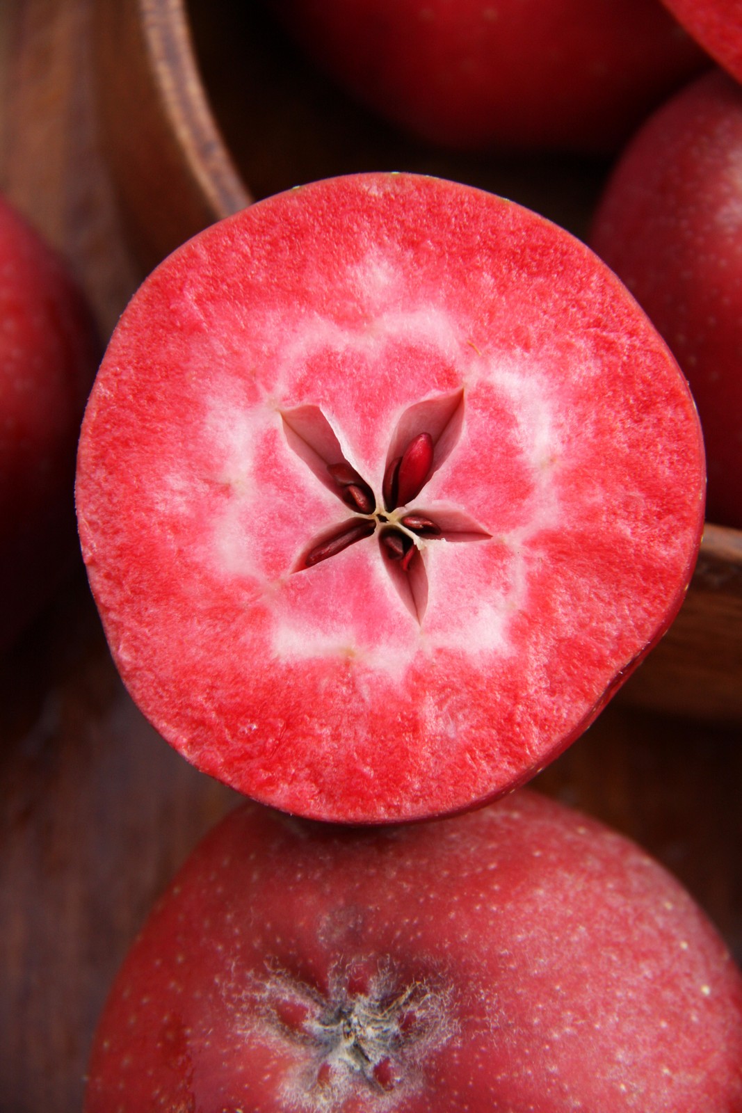 Trinity™ | Frank P Matthews