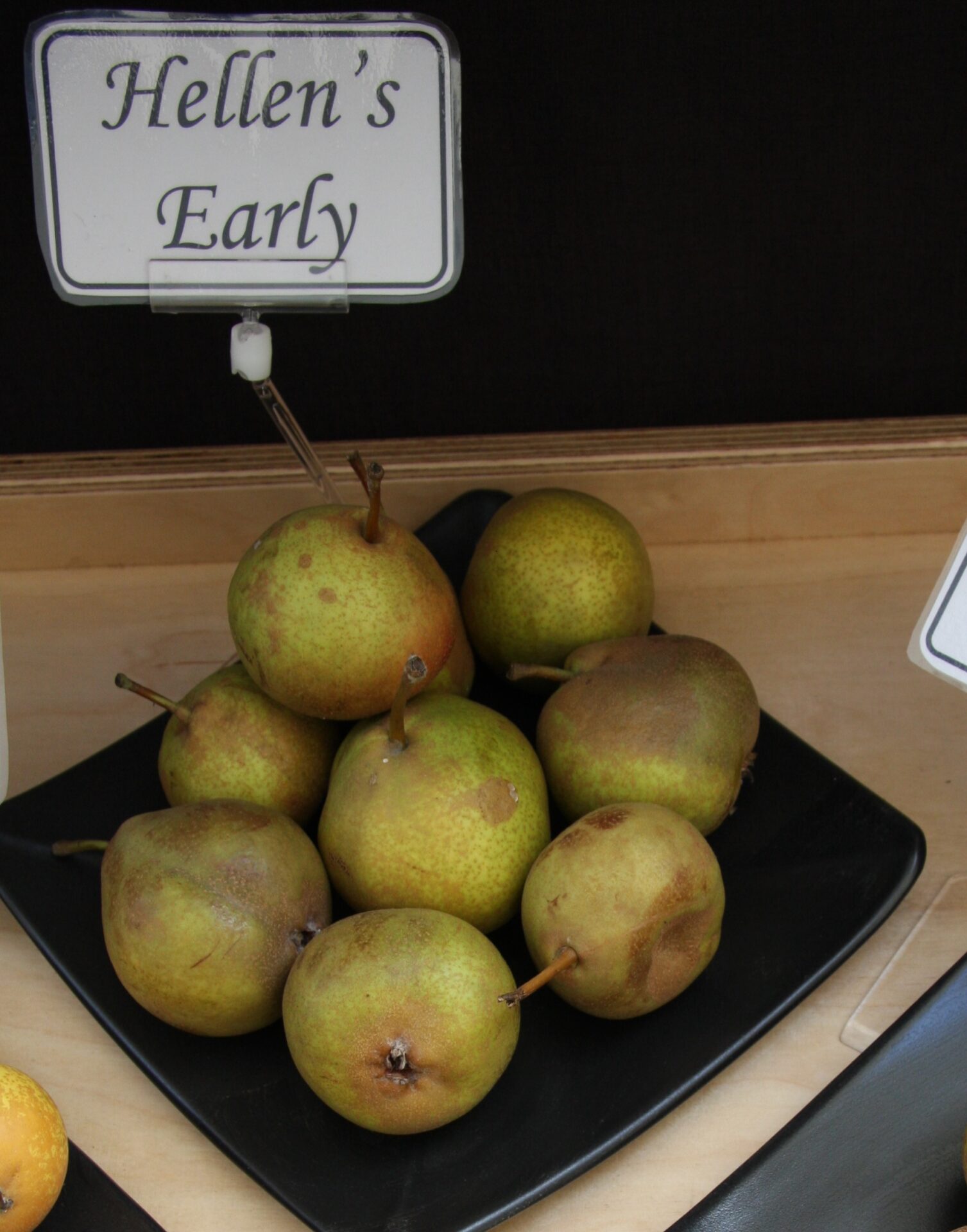 Hellens Early | Frank P Matthews