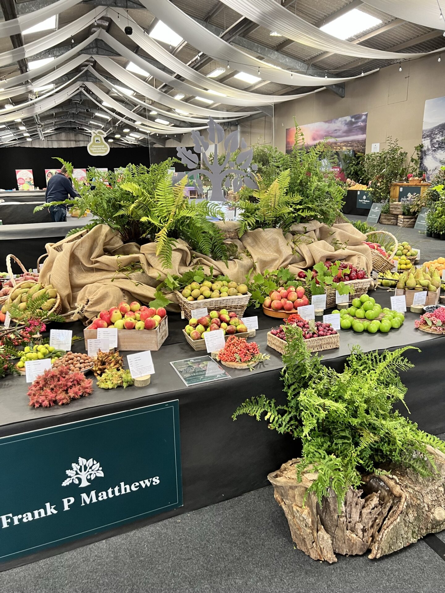 WE WON GOLD for our Malvern Autumn Fruit Display 2022