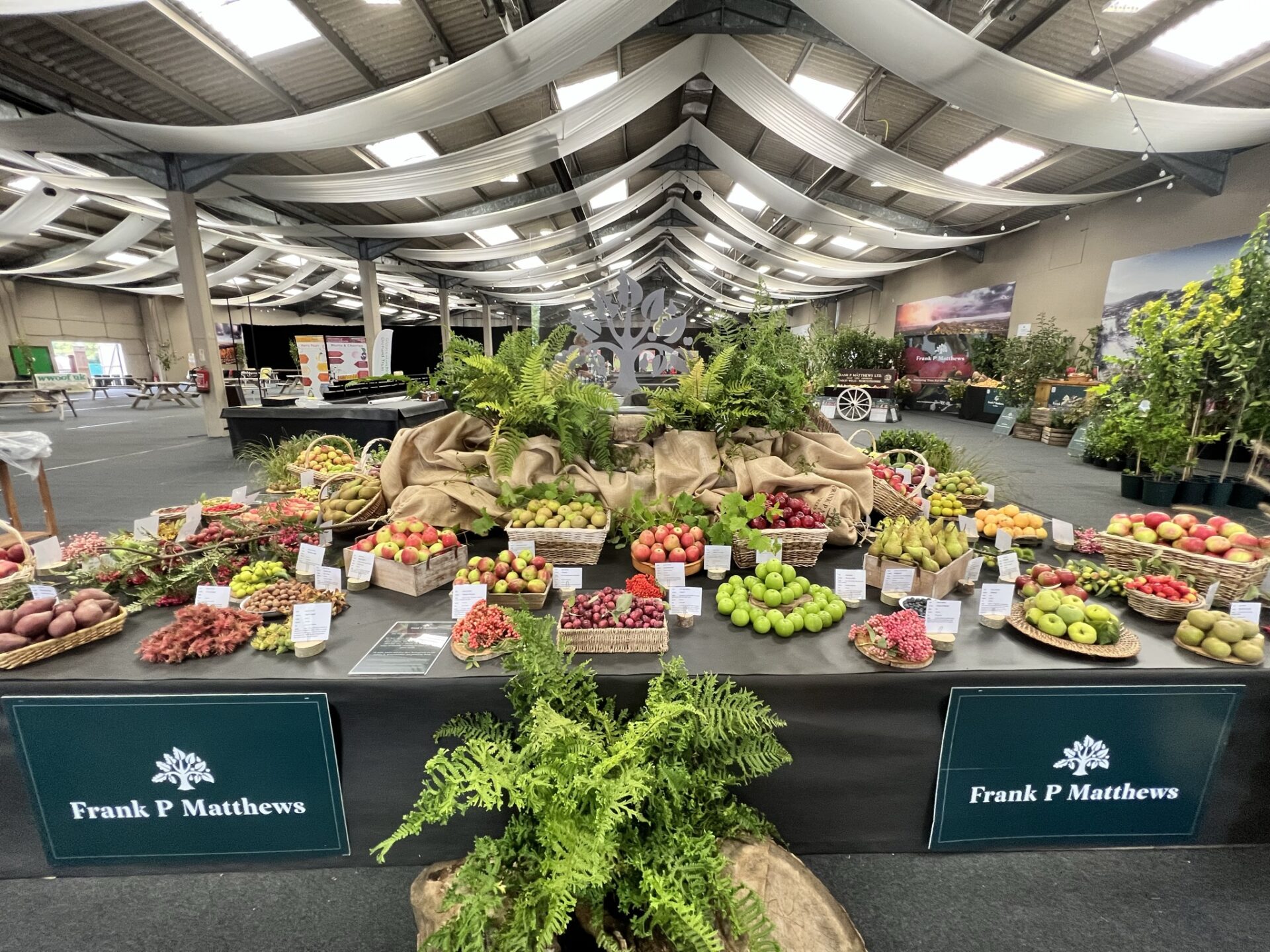 WE WON GOLD for our Malvern Autumn Fruit Display 2022