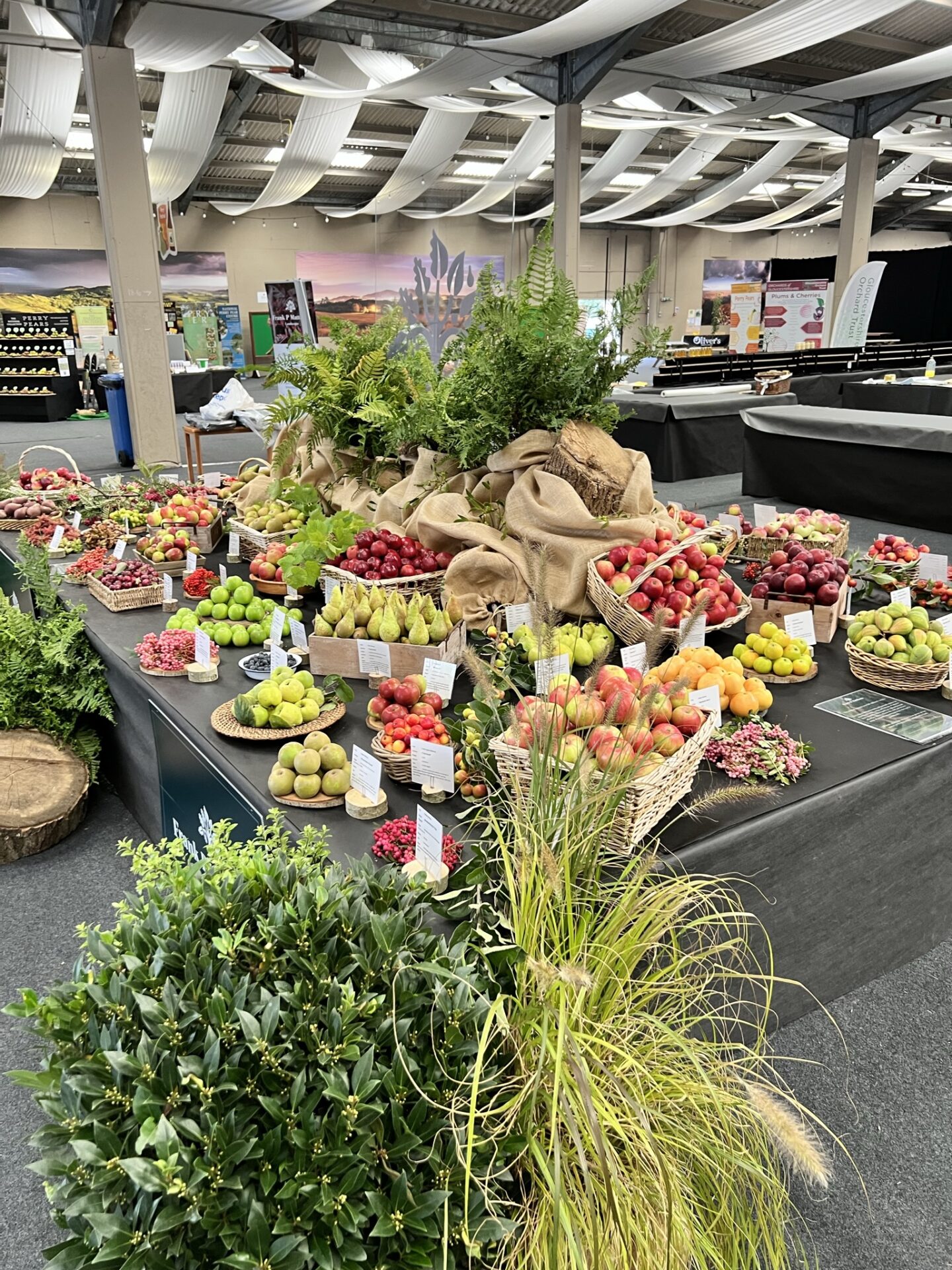 WE WON GOLD for our Malvern Autumn Fruit Display 2022