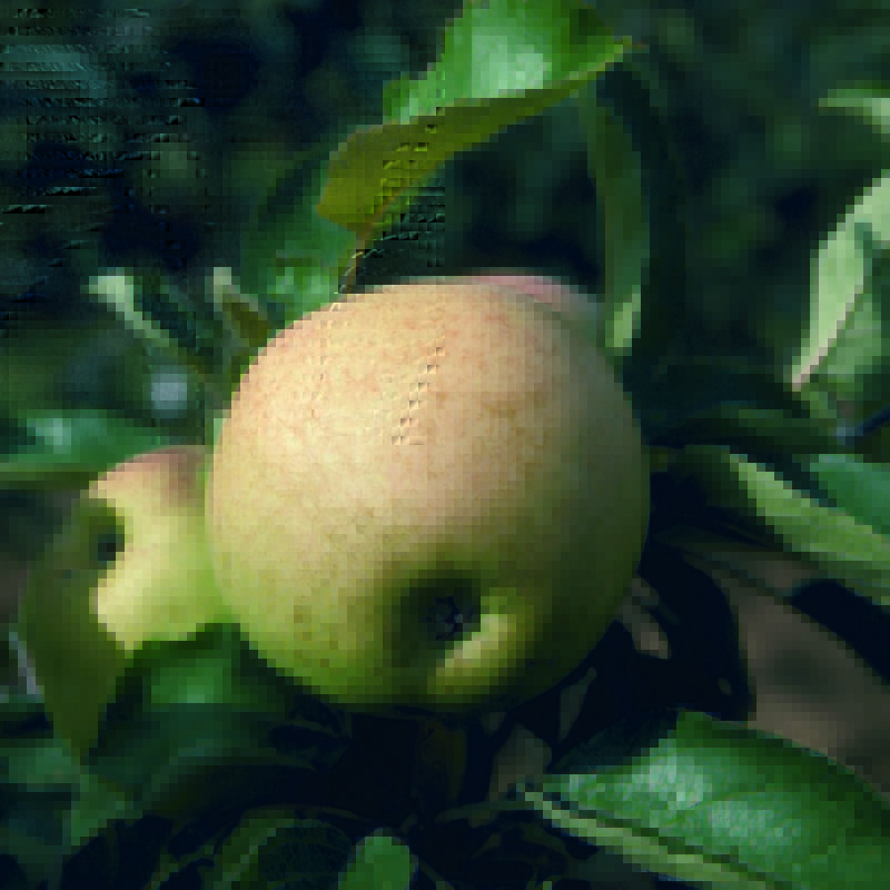 White Melrose | Frank P Matthews