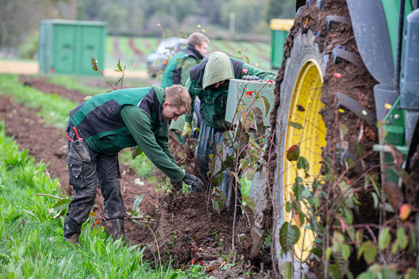 Bare Root Tree Lifting 2022 | Frank P Matthews