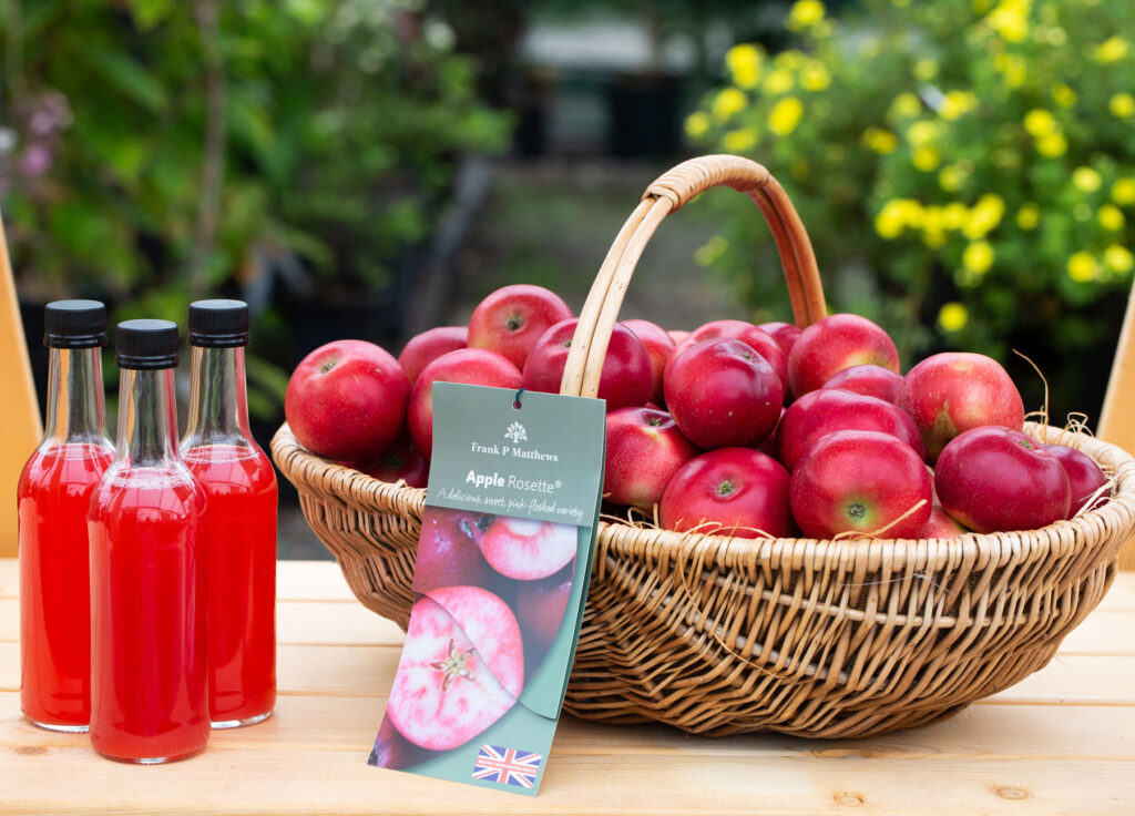 Fruit Trees for Juice | Frank P Matthews | Fruit Juicing