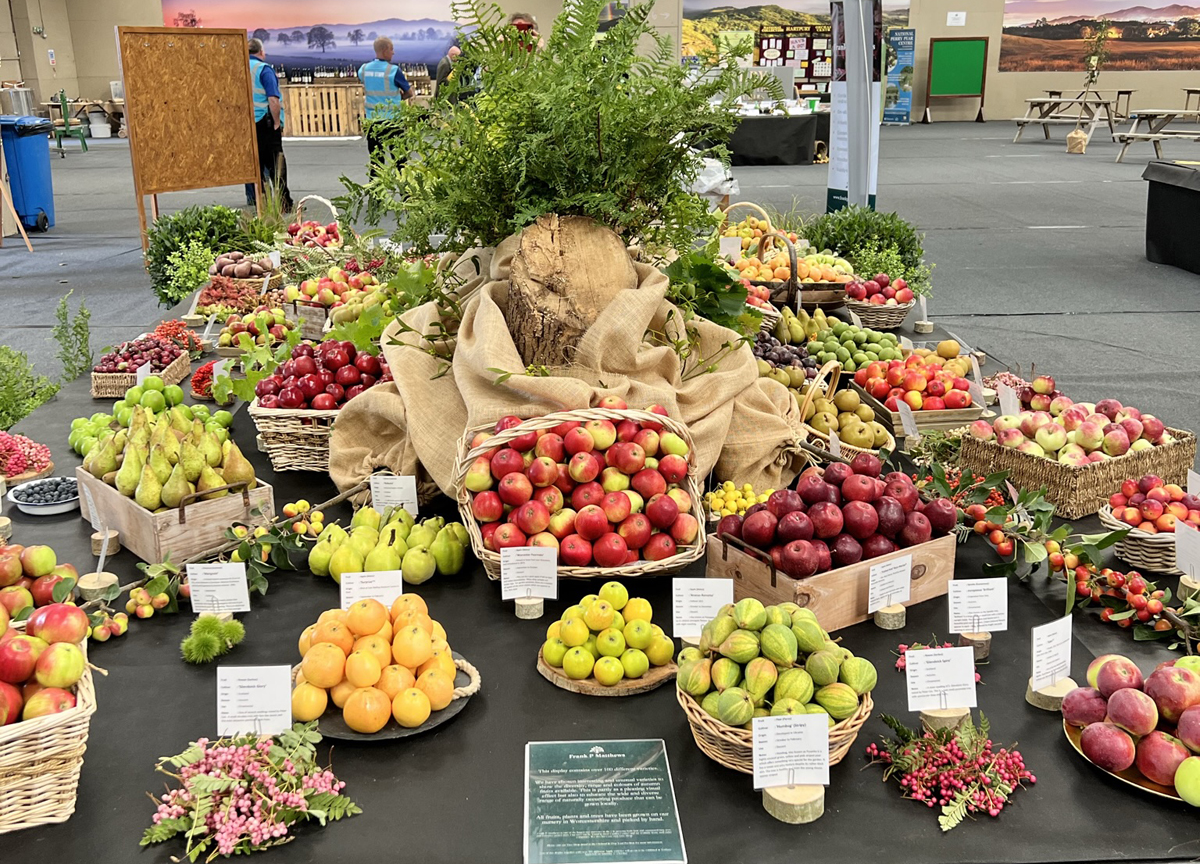 FPM Wins RHS Stanley Lord Bowl Award | Frank P Matthews