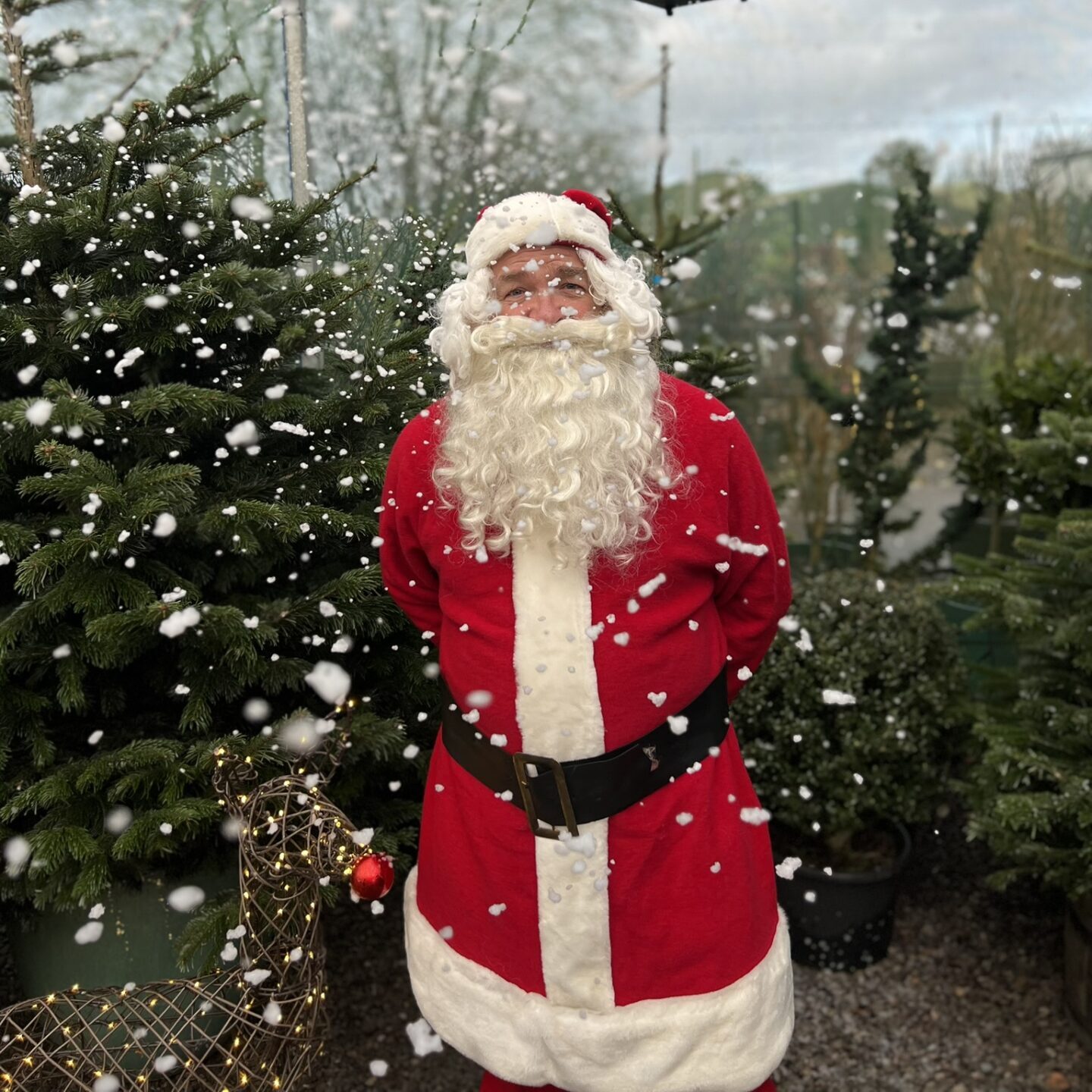 Christmas Fair, Fun For All | Frank P Matthews Tree Shop