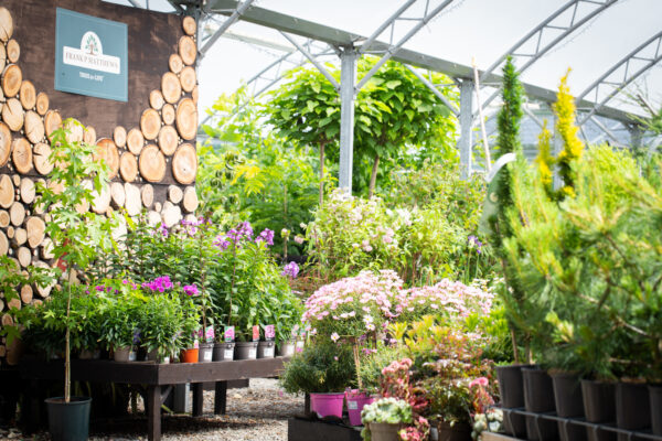 Visiting the Tree Shop | Frank P Matthews | Buy Your Trees Here