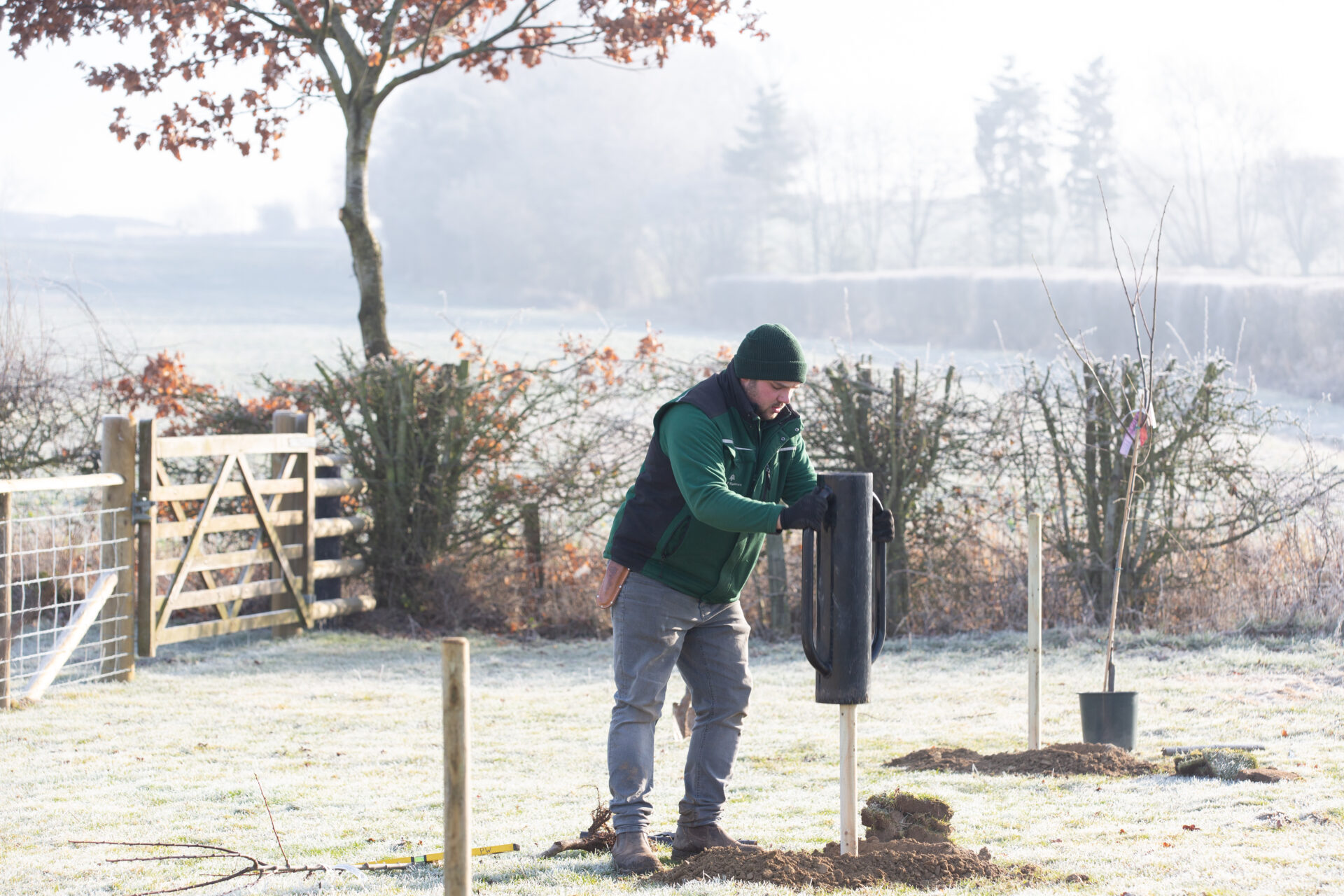 Winter Planting: A Step by Step Guide for planting your tree.