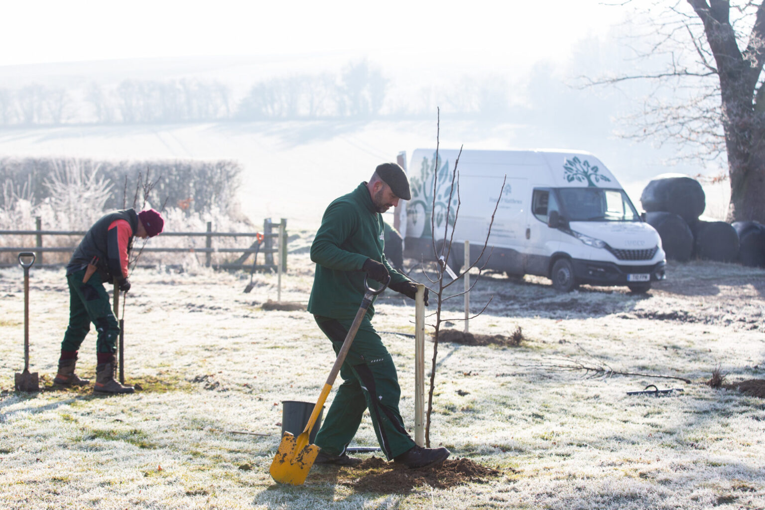 Winter Pruning: An Expert Guide to Winter Fruit Tree Care