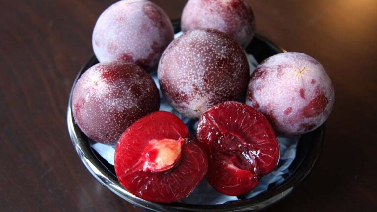 Plumcot, Pluots And Aprium: Hybrid Fruit A Comprehensive Guide | Frank ...