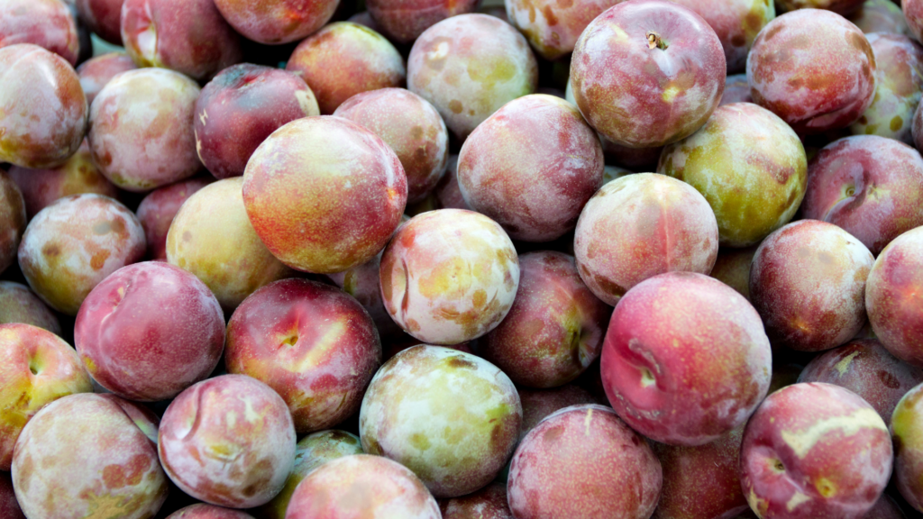 Plumcot, Pluots And Aprium: Hybrid Fruit A Comprehensive Guide | Frank ...
