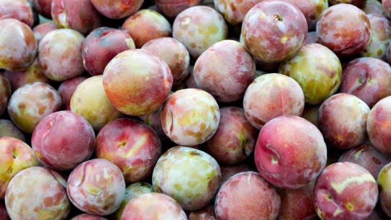 Plumcot, Pluots And Aprium: Hybrid Fruit A Comprehensive Guide | Frank ...