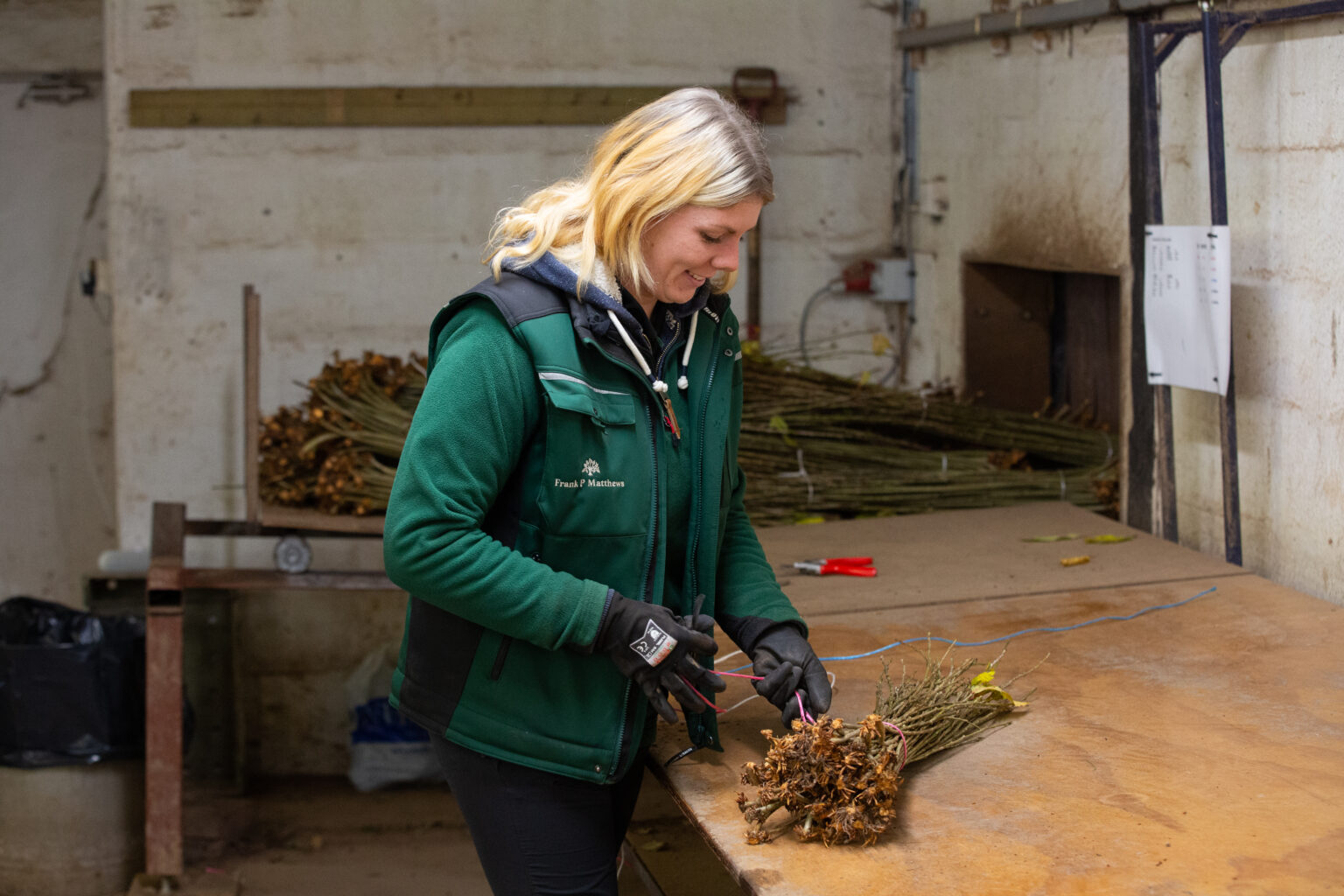 How to Graft a Tree: A Comprehensive Guide to Tree Grafting | Frank P ...