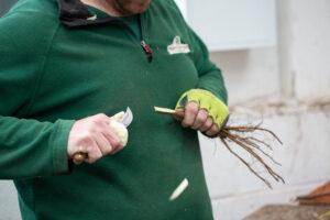 How to Graft a Tree: A Comprehensive Guide to Tree Grafting | Frank P ...