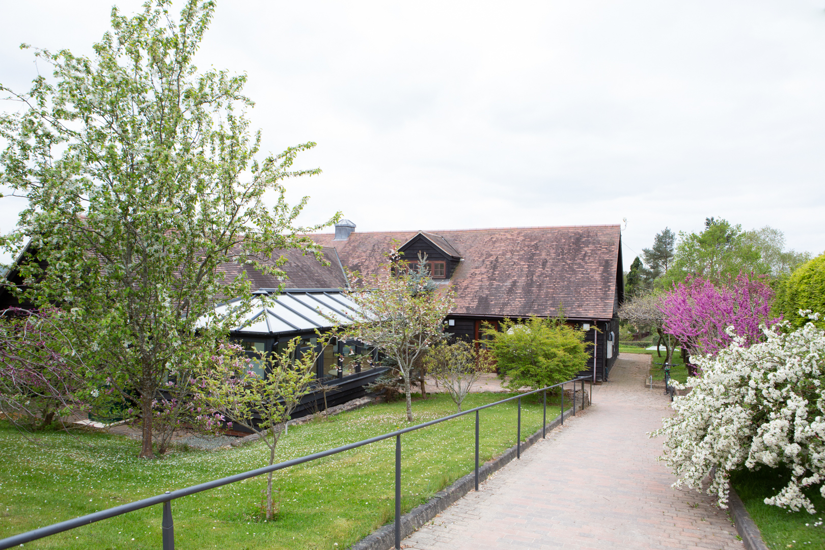 Can Trees Really Damage Foundations? A Comprehensive Guide | Frank P ...