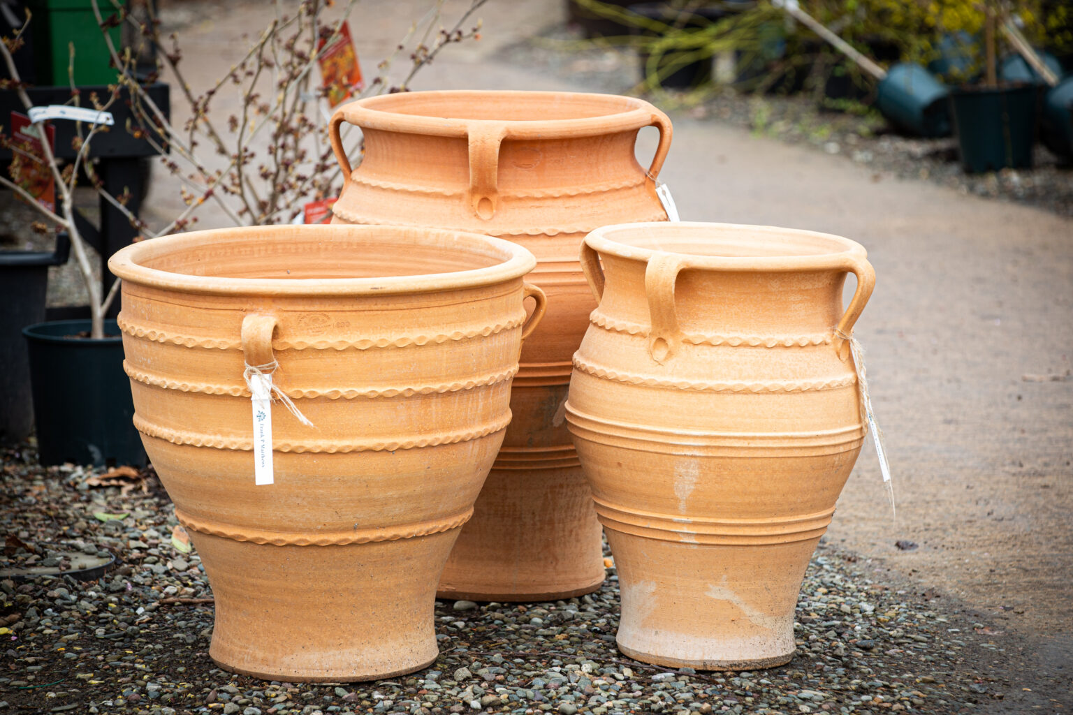 The Tree Shop | Frank P Matthews Trees