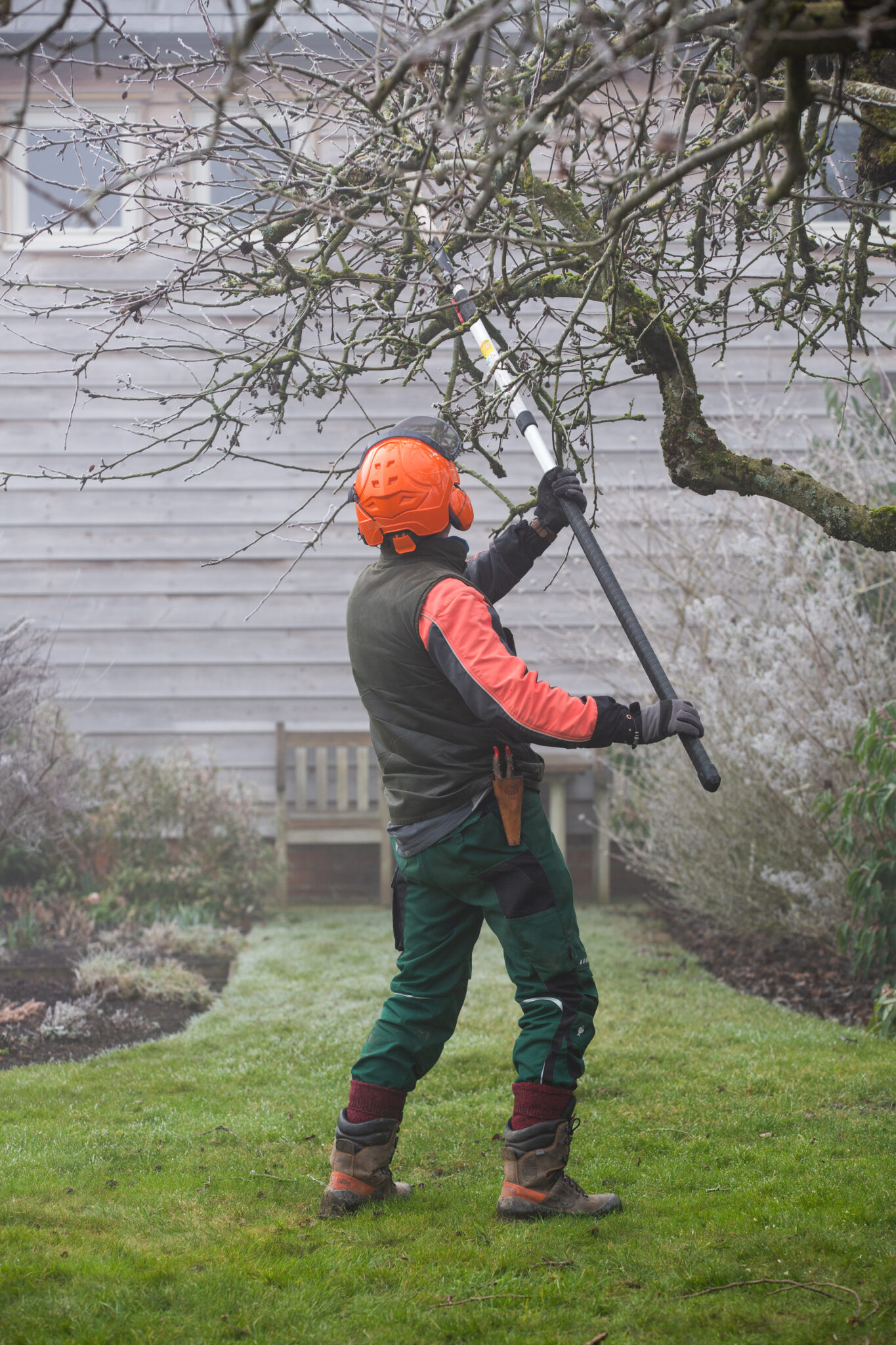 Winter Pruning for Trees: The Ultimate Guide | Frank P Matthews