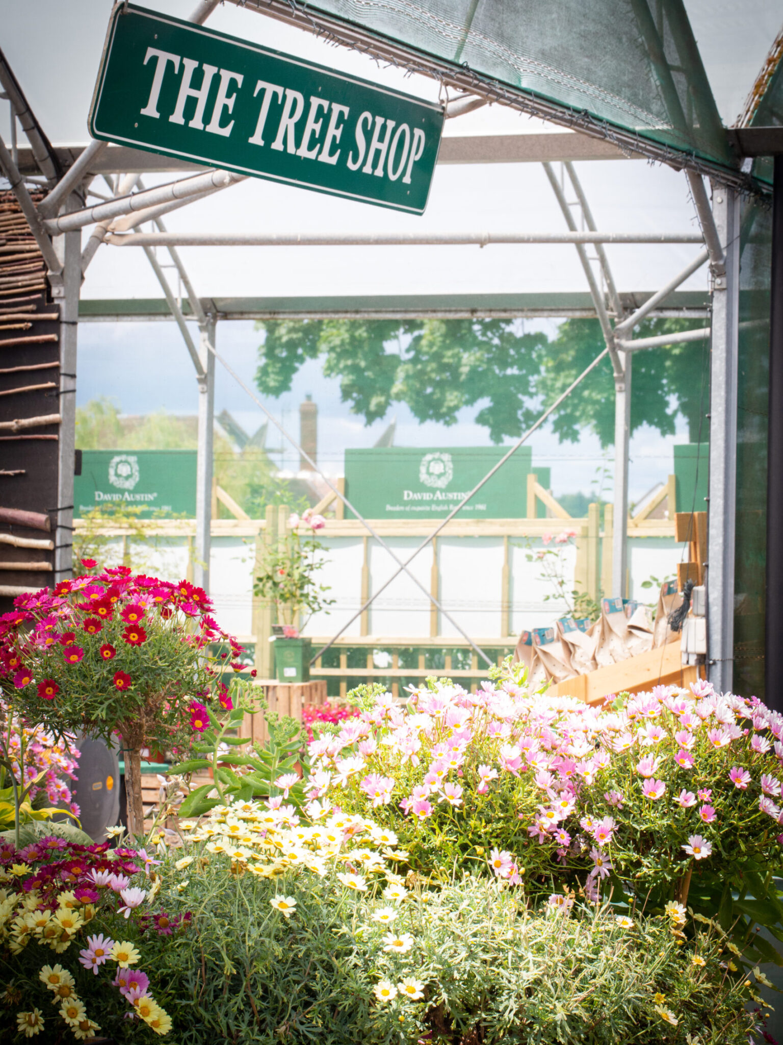 The Tree Shop | Frank P Matthews Trees