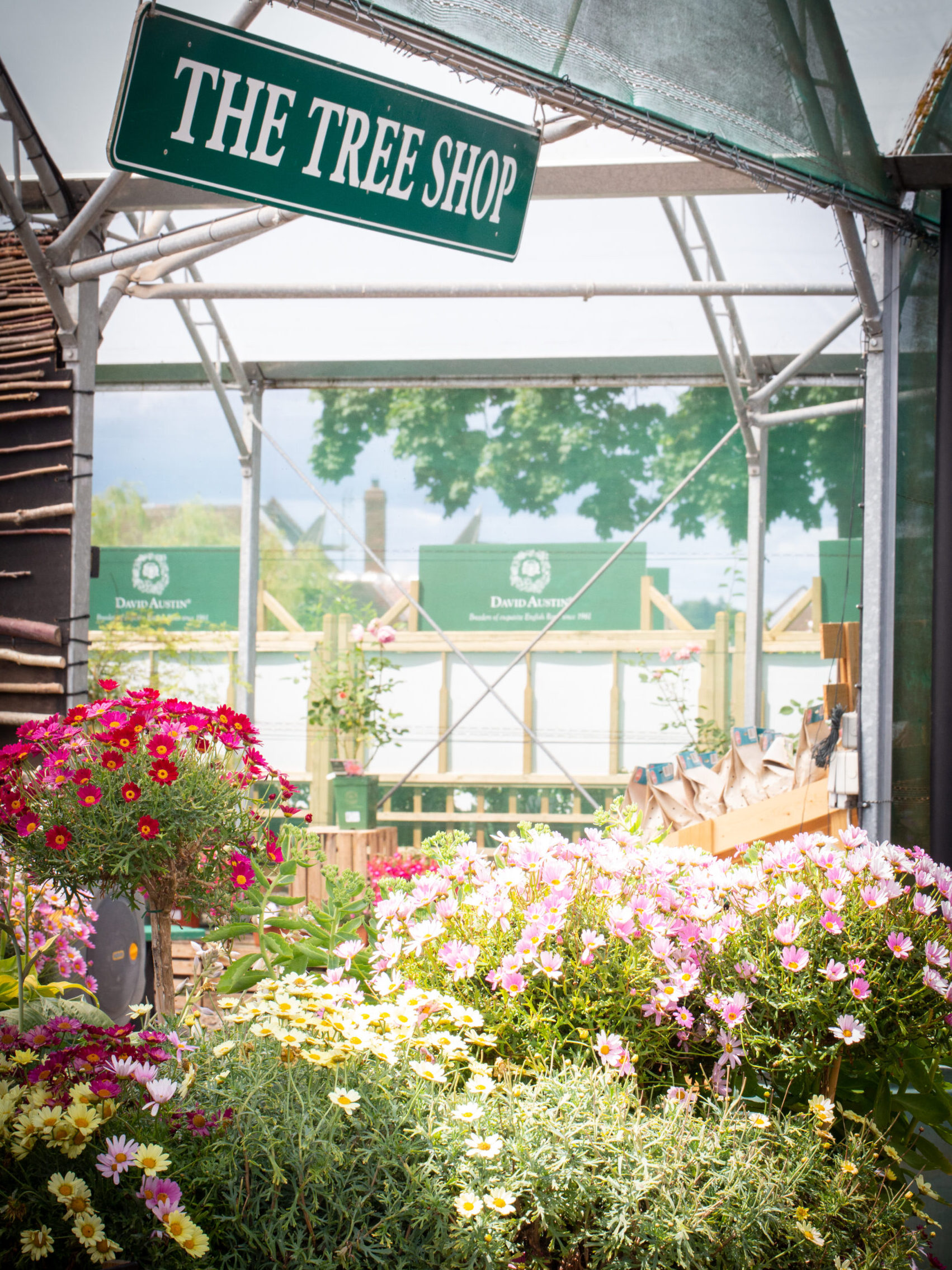 The Tree Shop | Frank P Matthews Trees