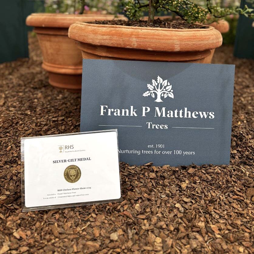 Celebrating Our Silver-Gilt Medal at RHS Chelsea Flower Show 2025 ...